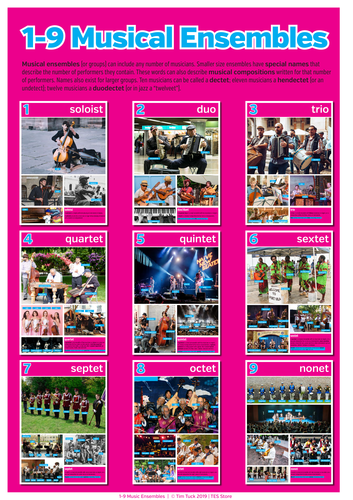 Music Ensembles Poster Pack 1 | Teaching Resources