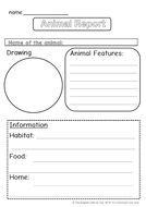 Animal report template | Teaching Resources