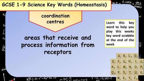 Free GCSE Biology (Science) Homeostasis Key words & Scrabble Game ...