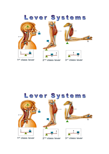 Levers | Teaching Resources