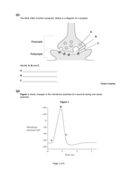 15.5 Structure and function of synapses and 15.6 transmission across ...