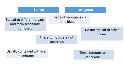 Cancer Activity - Biology GCSE | Teaching Resources