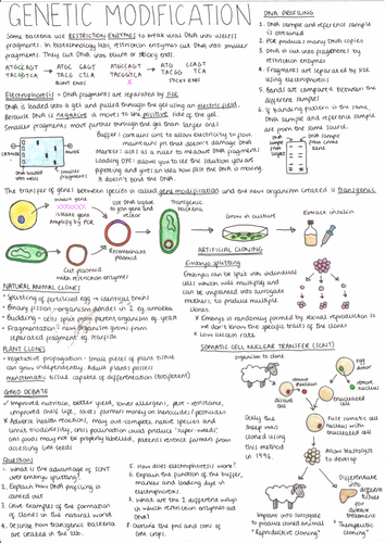 Genetics: genetic modification | Teaching Resources