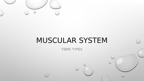 BTEC Sport Level 3 Muscular System Teaching Pack | Teaching Resources