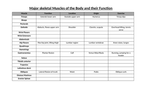 BTEC Sport Level 3 Muscular System Teaching Pack | Teaching Resources