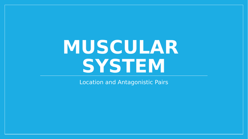 BTEC Sport Level 3 Muscular System Teaching Pack | Teaching Resources