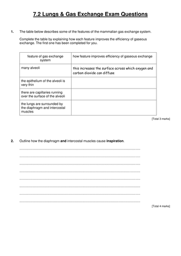 The human (mammalian) gas exchange system - OCR-AS Biology | Teaching ...