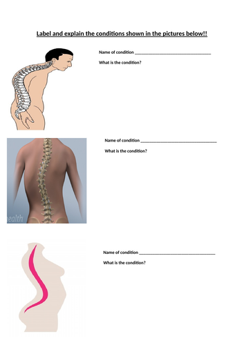 Revision games/activities for OCR Cambridge National Sport Science exam ...