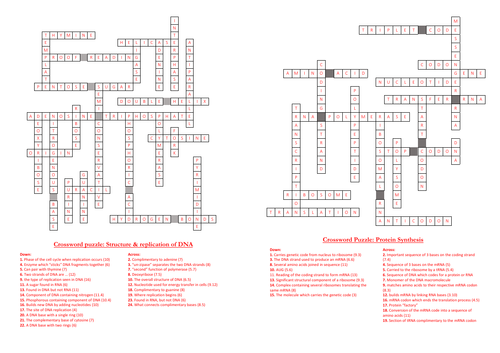 DNA, RNA & Protein Synthesis Crosswords (A-level Biology) | Teaching ...