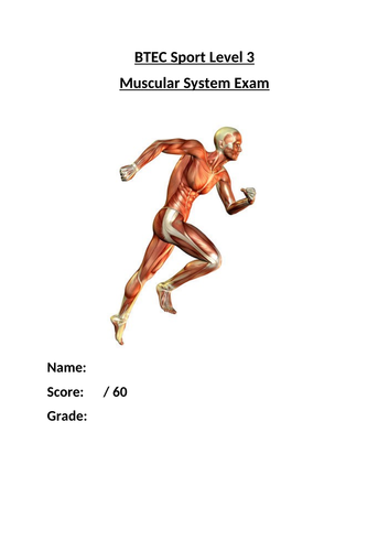 BTEC Sport Level 3 Muscular System Exam | Teaching Resources
