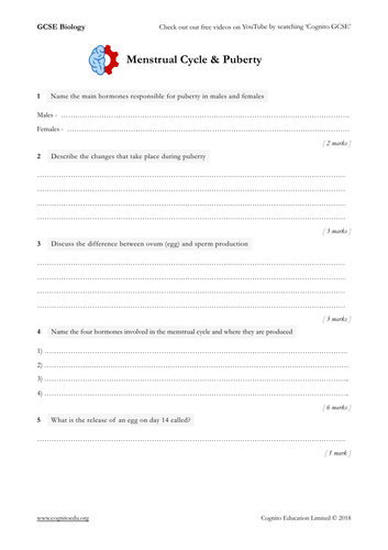 GCSE Biology (9-1) - Menstrual Cycle & Puberty - Worksheet & Video ...