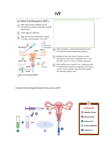 In Vitro Fertilization IVF | Teaching Resources