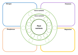 Plant nutrition worksheet | Teaching Resources