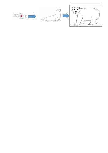 Disruption to food chains and webs Activate AQA KS3 Year 7 full lesson ...