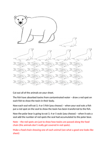 Disruption to food chains and webs Activate AQA KS3 Year 7 full lesson ...