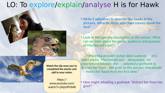 H is for Hawk | Teaching Resources