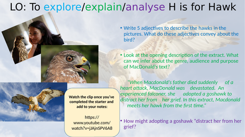 H is for Hawk | Teaching Resources