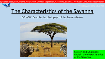 Geography Lesson- Location and Characteristics of the Savanna ...