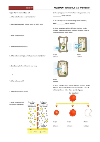 Movement in and out of cell worksheet | Teaching Resources