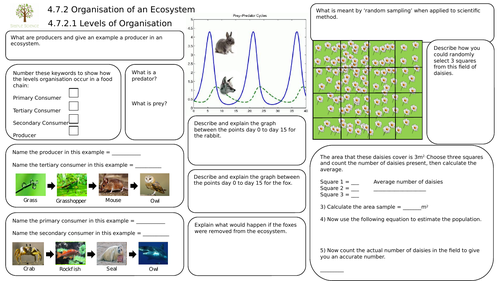Home Learning Revision - Organisation, Quadrats & Transects - AQA ...