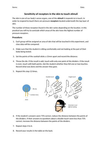 Sensitivity of receptors in the skin to touch stimuli practical ...
