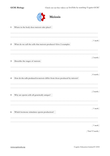 GCSE Biology (9-1) - Meiosis - Worksheet & Video | Teaching Resources
