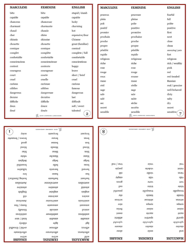 French Descriptive Adjectives Booklet - Livret de Référence | Teaching ...