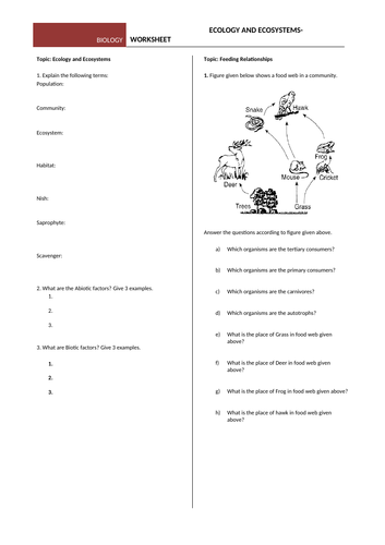 Ecology and Ecosystems Worksheets | Teaching Resources