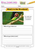 Habitats and food chains- what’s in the woodland? | Teaching Resources