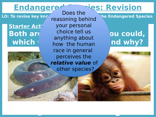 Endangered Species - Revision Lesson | Teaching Resources