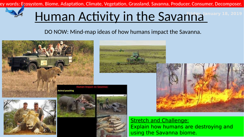 Lesson- Human Activity in the Savanna- Geography- biomes and ecosystems ...