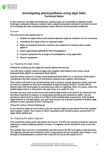 9-1 Edexcel Photosynthesis practical | Teaching Resources