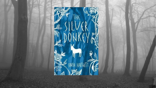 The Silver Donkey KS2 Novel Study, Writing tasks and Resources ...