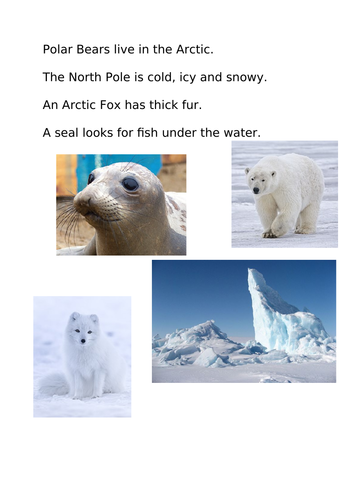 Arctic Sentence Matching Key Stage 1 or EYFS | Teaching Resources