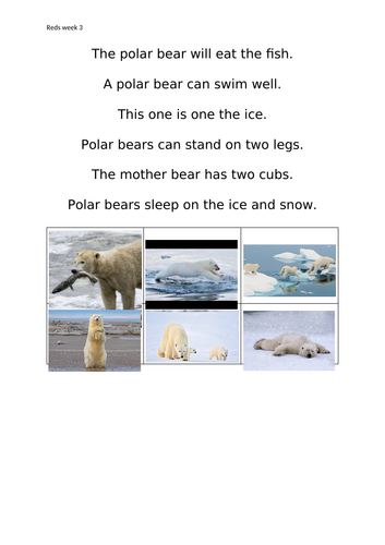 Arctic Sentence Matching Key Stage 1 or EYFS | Teaching Resources