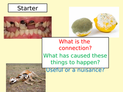 Decomposition and Decay-GCSE Biology-Revision Session-60 mins ...