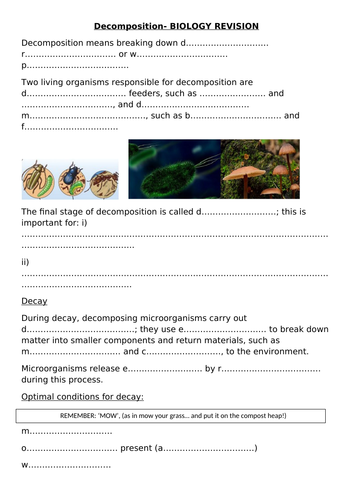 Decomposition and Decay-GCSE Biology-Revision Session-60 mins ...