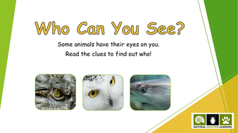 Animal Eyes PowerPoint Activity KS1 by Gdwaters1 | Teaching Resources