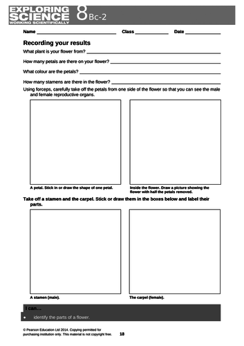 Parts of a flower/ plant reproduction | Teaching Resources