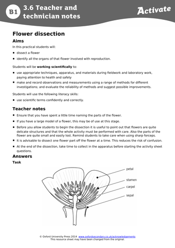 Parts of a flower/ plant reproduction | Teaching Resources