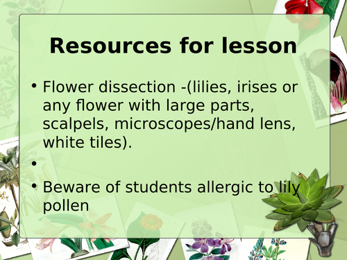 Parts of a flower/ plant reproduction | Teaching Resources