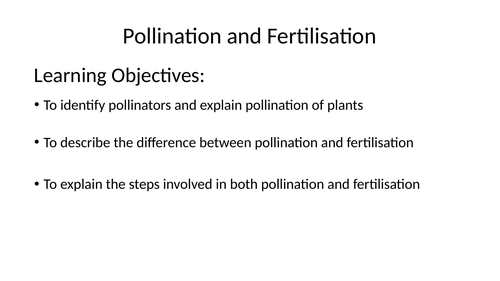 Year 8 Pollination and Fertilisation | Teaching Resources