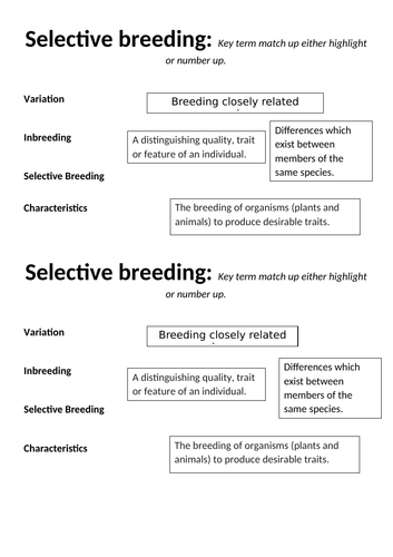 Year 8 Selective Breeding | Teaching Resources