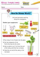 KS1 Science: Plants - how do stems work? Celery experiment. | Teaching ...