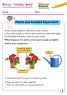 KS1 Science: Plants - plants and sunlight experiment. | Teaching Resources