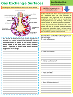 FREE A Level Biology Gas Exchange Surfaces Practice Exam Question ...