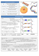 AQA 9-1 DNA and Protein Synthesis Revision | Teaching Resources