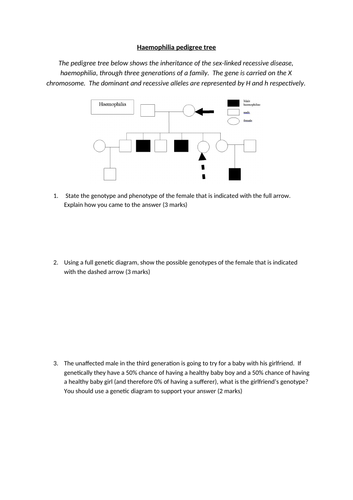 Edexcel GCSE Biology Topic 3 REVISION (Genetics) | Teaching Resources