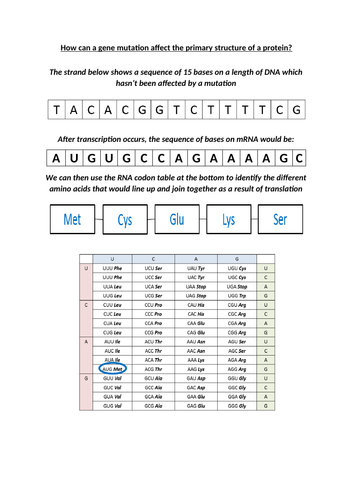 Edexcel GCSE Biology Topic 3 REVISION (Genetics) | Teaching Resources