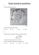 Edexcel I A Level Biology - Light Microcope unit and Core Practical ...